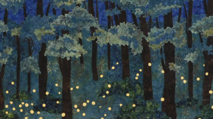 Firefly Woods | Darley Y. Clevenger